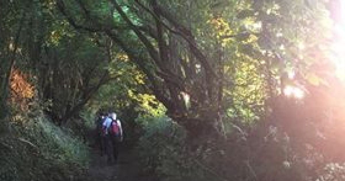 Dundridge Circular - Ramblers